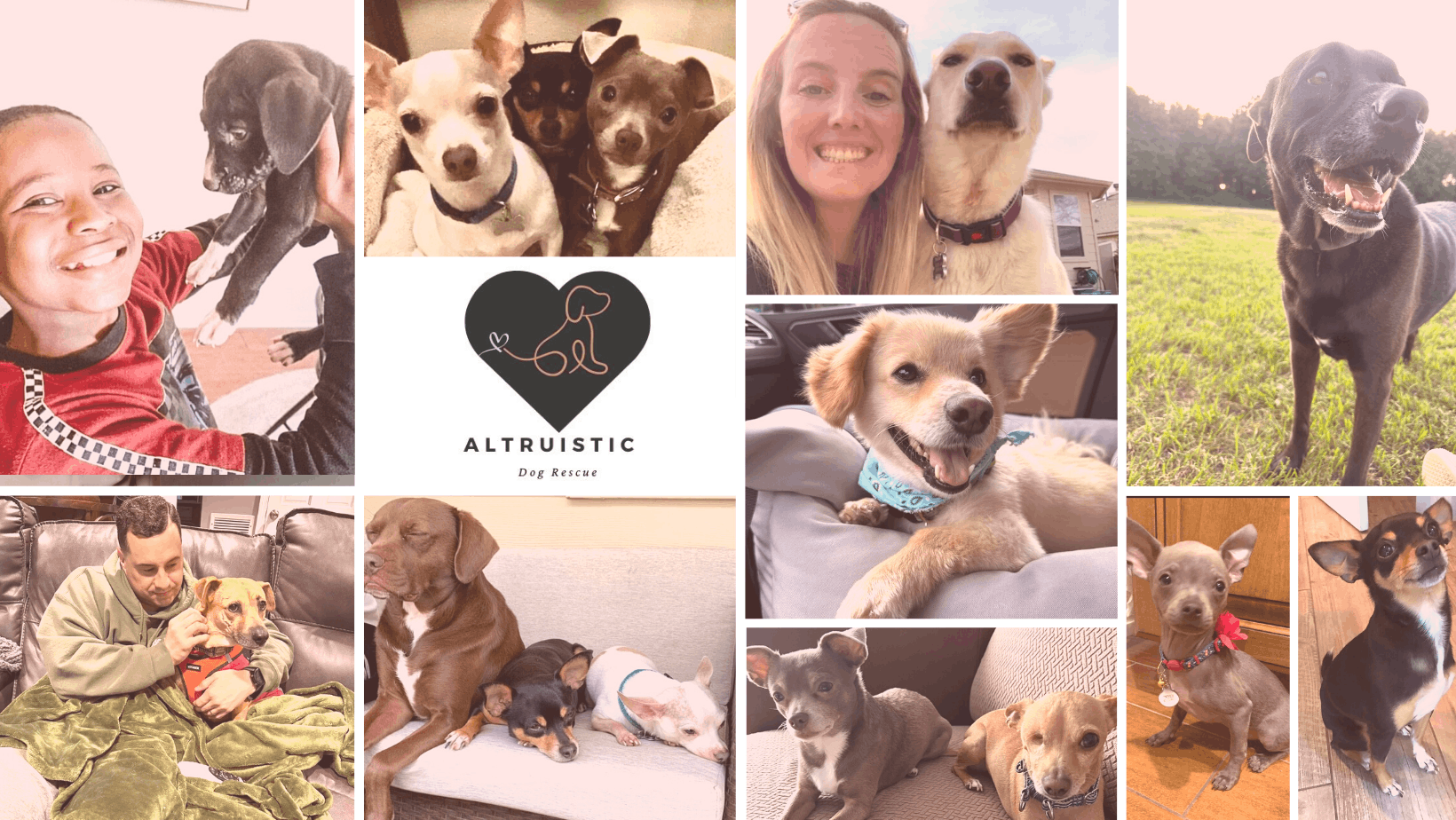Nominate Altruistic Dog Rescue to share $2,000,000